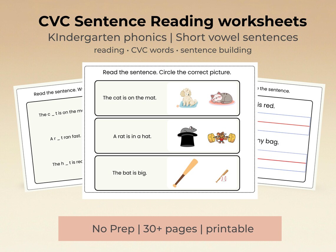 30+ Pages of Sentence Reading and Writing Practice for Kindergarten and ...
