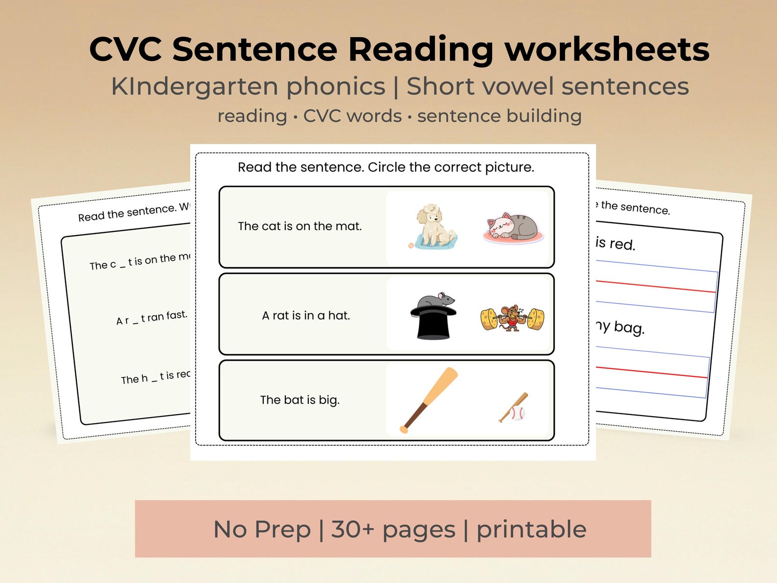 CVC Sentence Reading Worksheets | Kindergarten Phonics Practice (PDF ...
