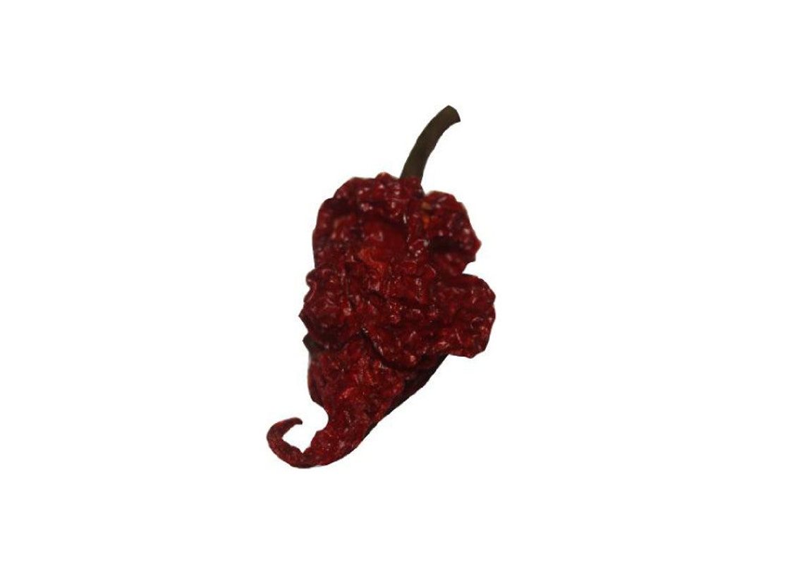 Trinidad Moruga Scorpion Chili Peppers 10 Dried Dried Trinidad Seed ...