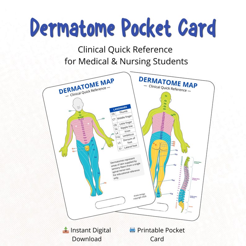 Dermatome Pocket Card Printable | Dermatome Map Cheat Sheet | Nursing ...