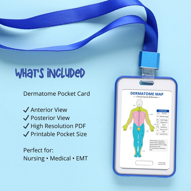 Dermatome Pocket Card Printable | Dermatome Map Cheat Sheet | Nursing ...