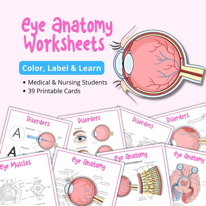 Eye Anatomy - Etsy