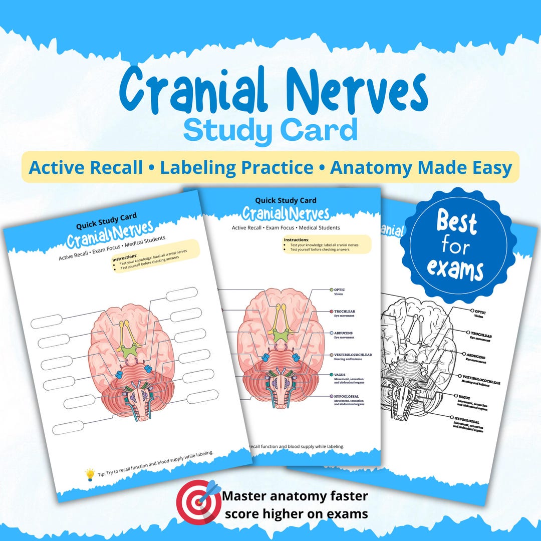 Cranial Nerves Worksheet Printable | Nursing Neuro Anatomy Study Guide ...