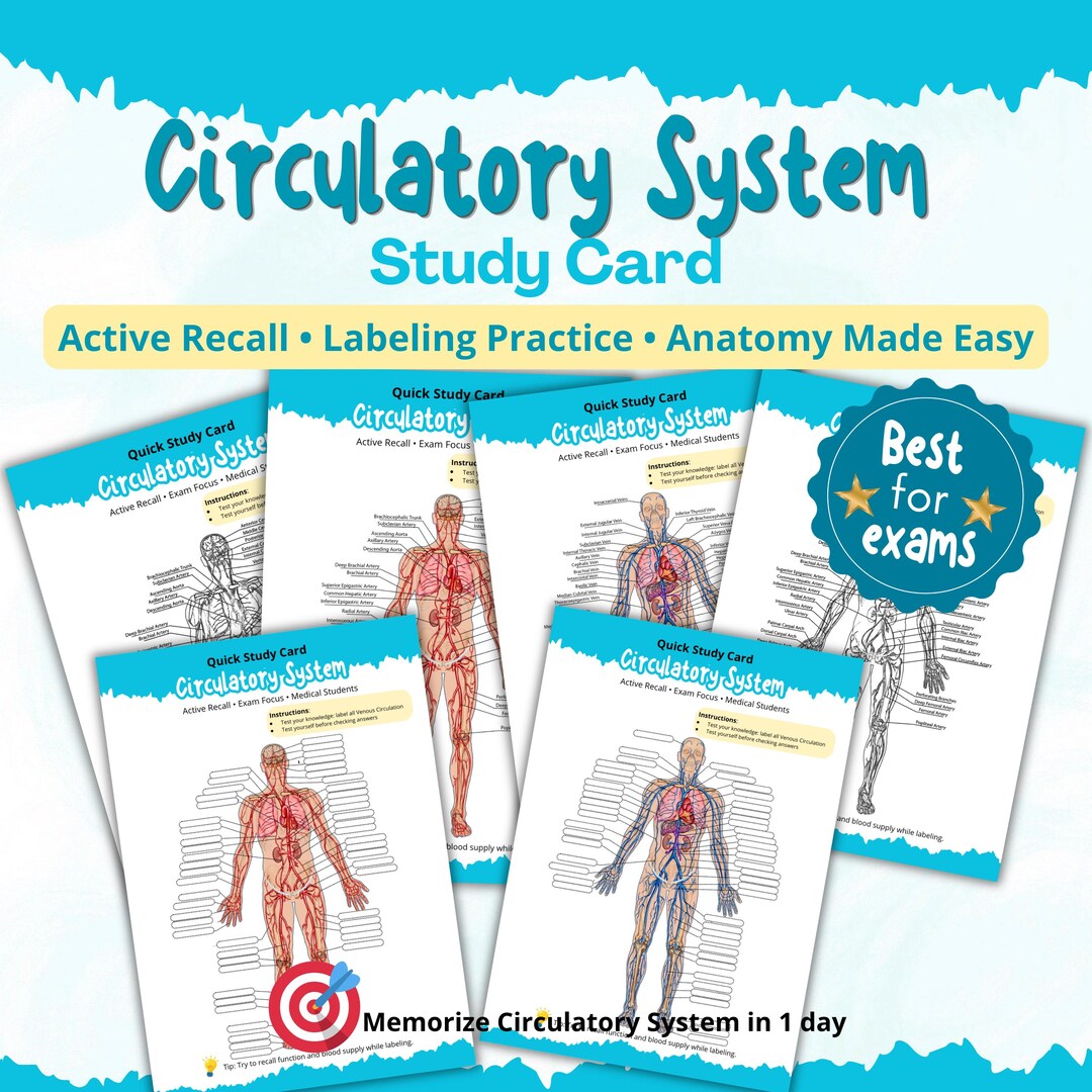 Circulatory System Printable Study Guide – Anatomy Labeling Worksheet ...