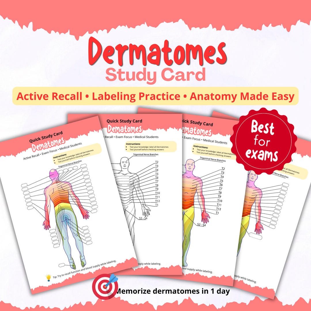 Dermatomes Study Card Printable PDF | Labeling Practice Anatomy ...
