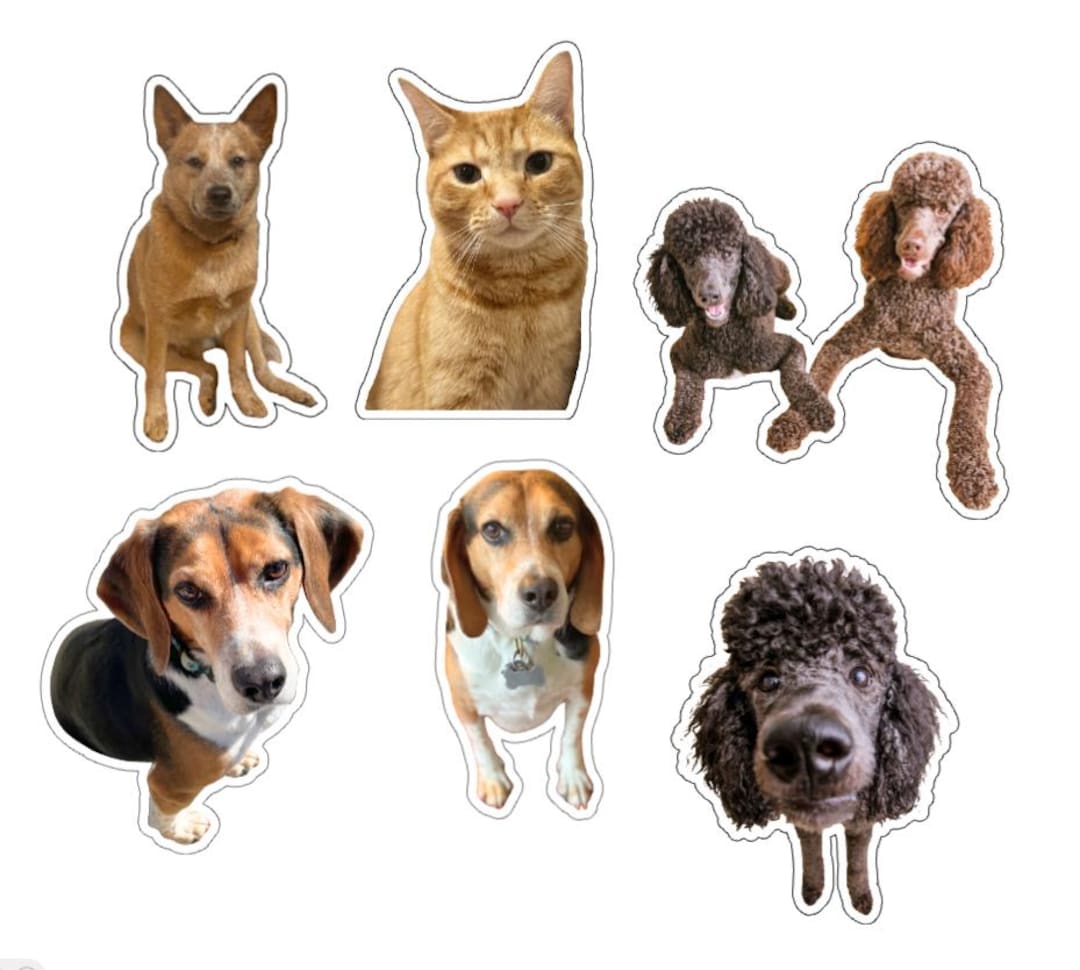 Custom Photo Vinyl Sticker - Etsy