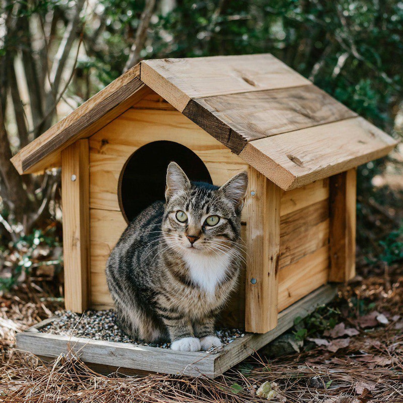 Cat Shelters Plans - Etsy