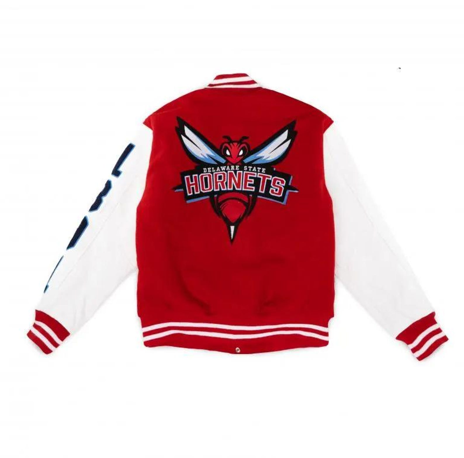 Delaware State Hornets Varsity Jacket – DSU Letterman College Jacket - Etsy