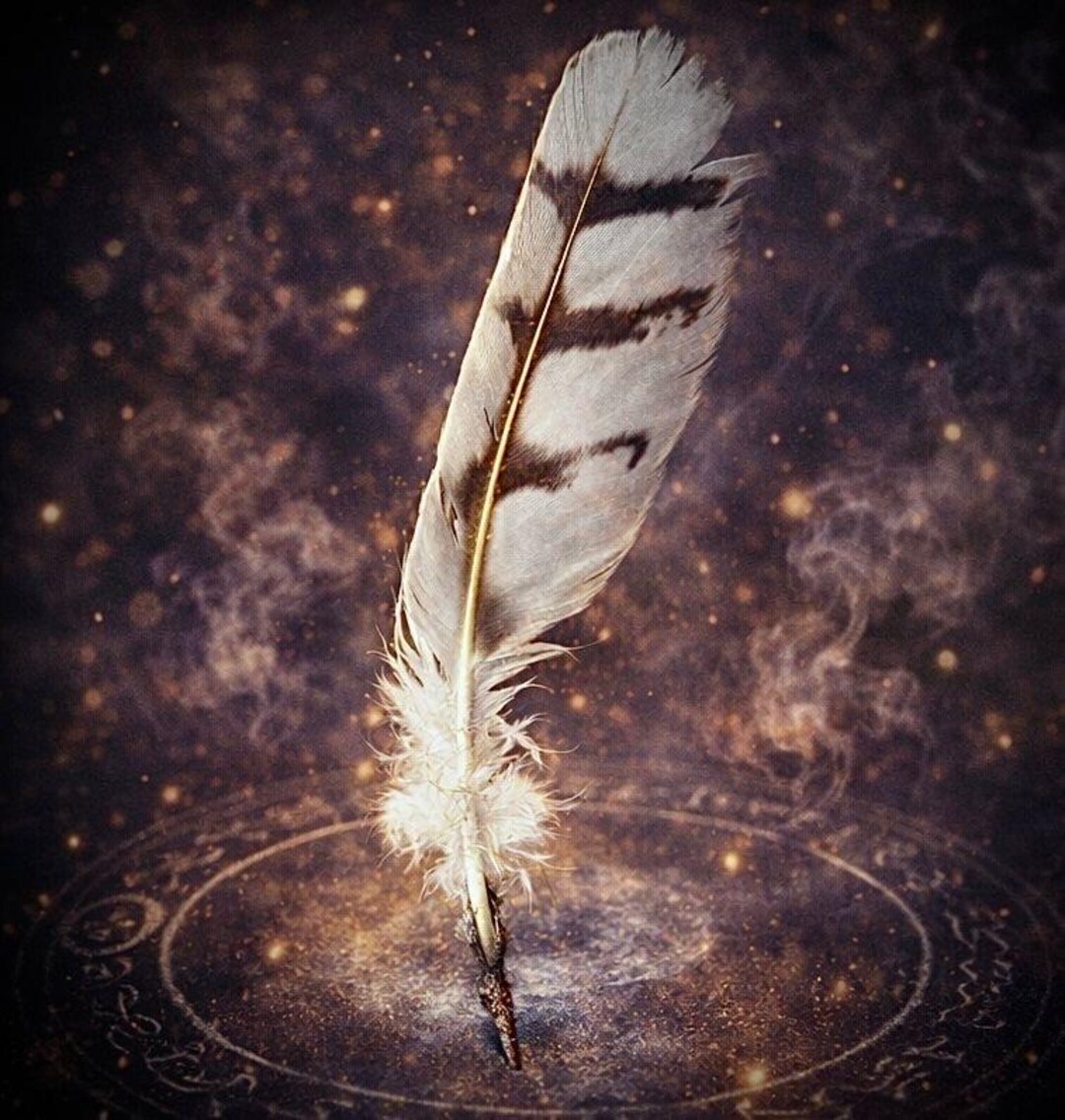 Owl Feather Ritual Quill • Ulluk Kalam – Wicca Pagan Spell Protection ...