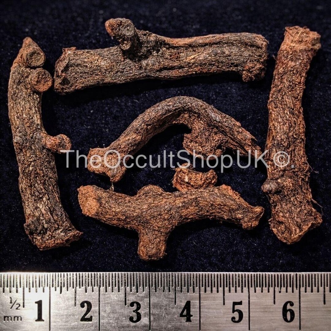 Smudge Sticks Paras Root ~ Haunted House Cleanser • Ghost Spirit ...