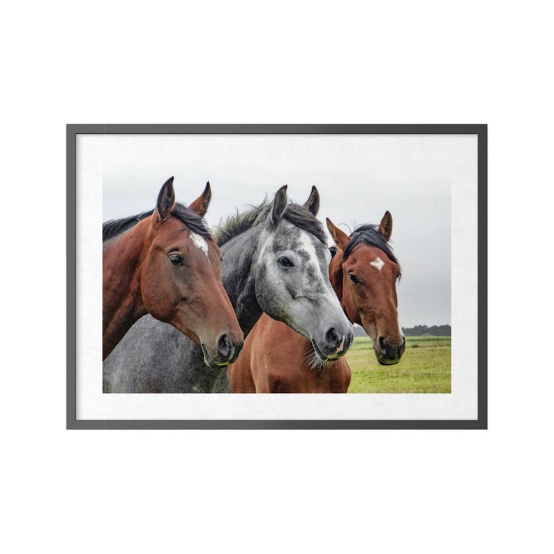 Three Horses Art | Equestrian Wall Décor| Horse Prints | Farm Animal ...