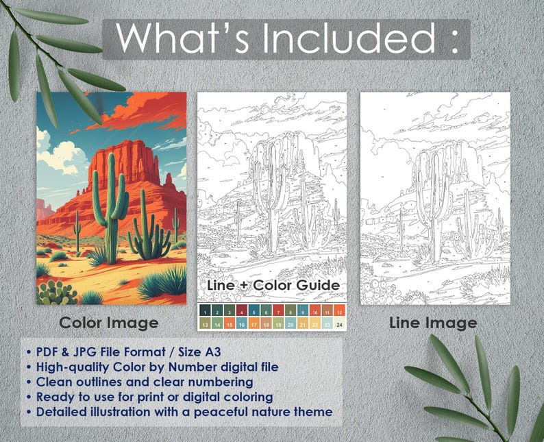 Cactus Color by Number Printable | Nature Paint by Numbers Digital ...