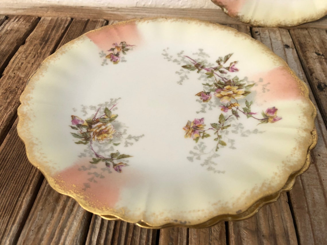 Set of Antique A & D Limoges France Floral Plates - Etsy