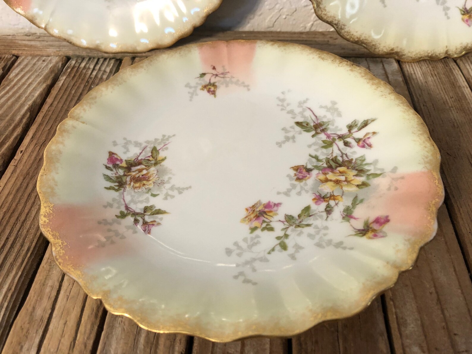 Set of Antique A & D Limoges France Floral Plates - Etsy