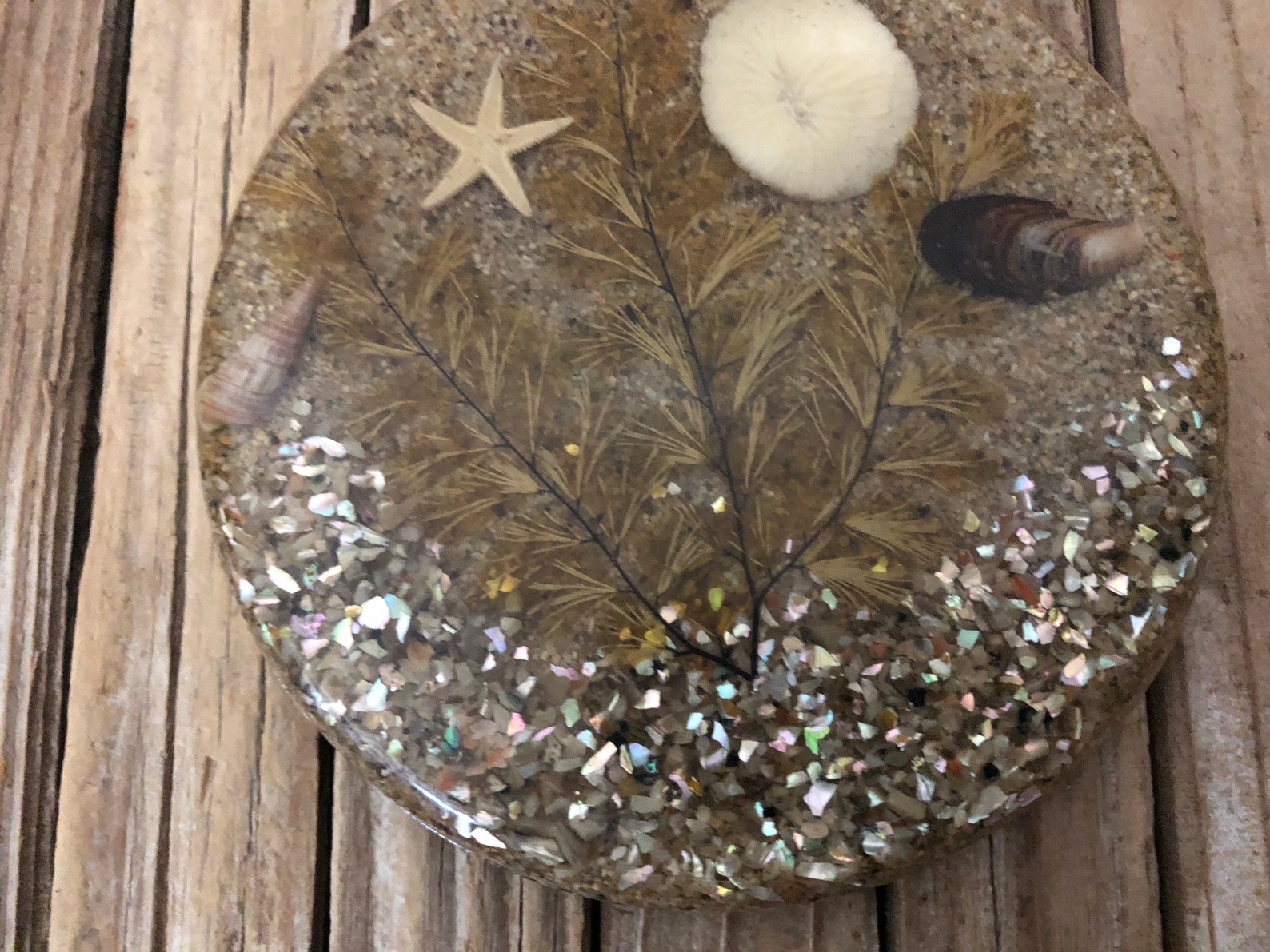 Vintage Acrylic Resin Shell Beach Trivet Craft House of Carmel - Etsy