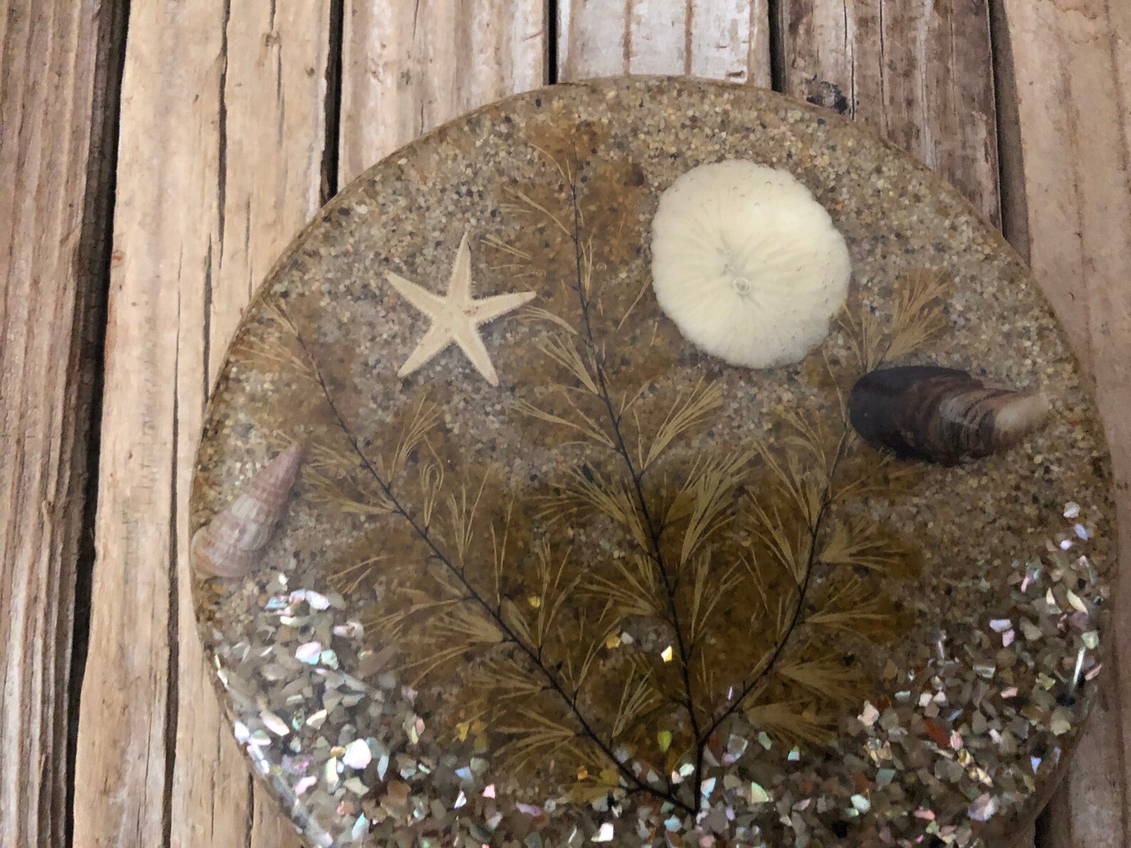 Vintage Acrylic Resin Shell Beach Trivet Craft House of Carmel - Etsy