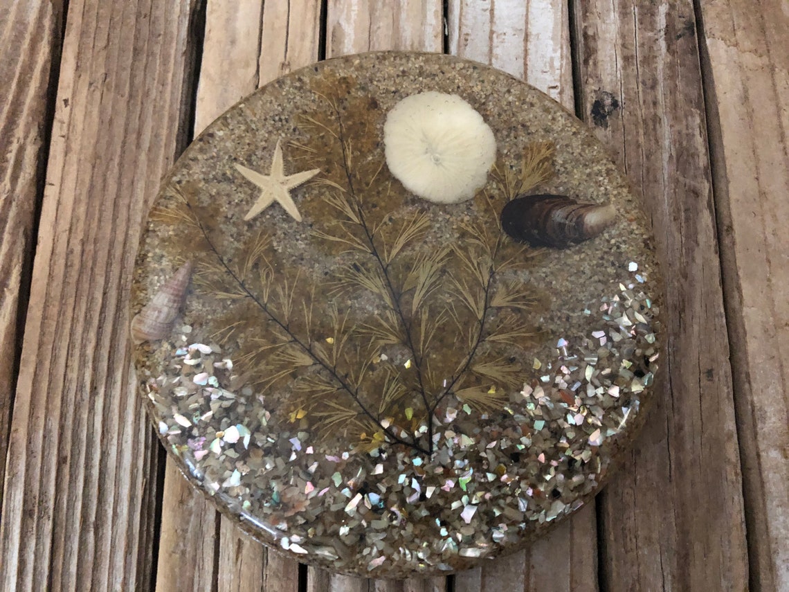 Vintage Acrylic Resin Shell Beach Trivet Craft House of Carmel - Etsy