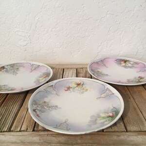 Antique Set of 3 Floral Victorian Plates - Etsy