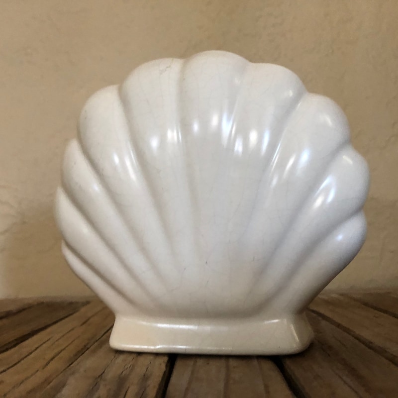 Shell Vase - Etsy
