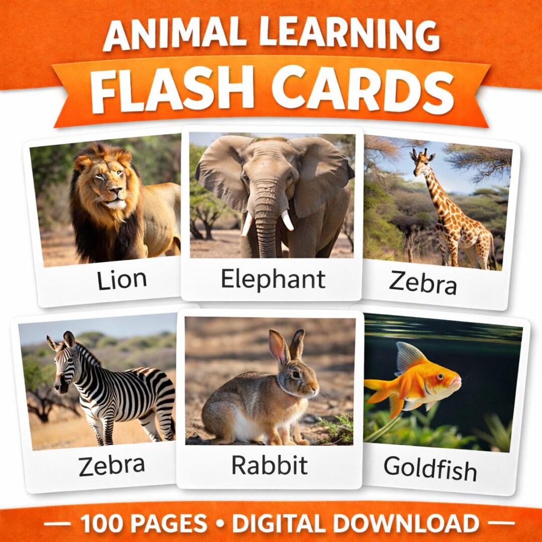 Animal Learning Flash Cards for Toddlers | 100 Realistic Animal Cards ...