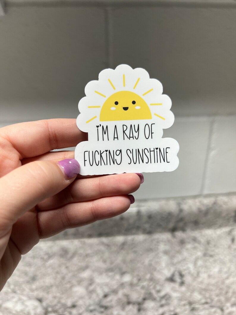 I'm A Ray of F*cking Sunshine Sticker or Fridge Magnet - Etsy
