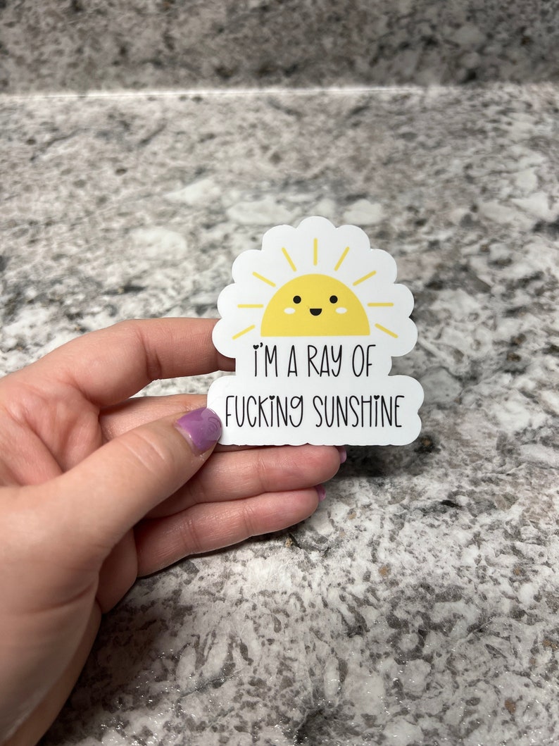 I'm A Ray of F*cking Sunshine Sticker or Fridge Magnet - Etsy