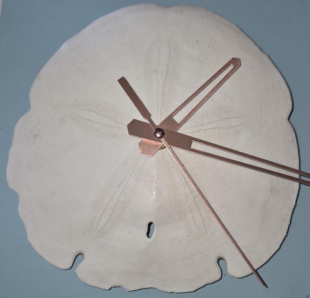 Arrowhead Sand Dollar Clock - Etsy