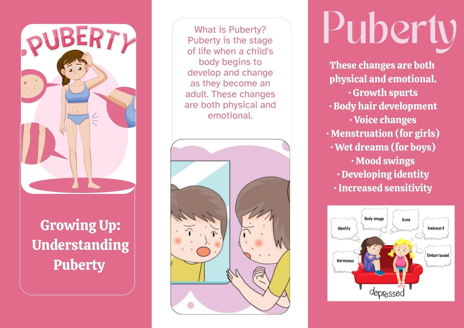 Editable Puberty Education Trifold Brochure | Growing up Guide | Health ...