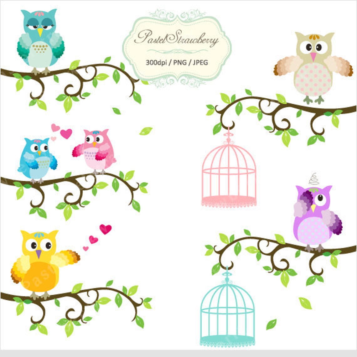 6 Owls & 6 Bird Cages Personal or Small Commercial Use Clip - Etsy