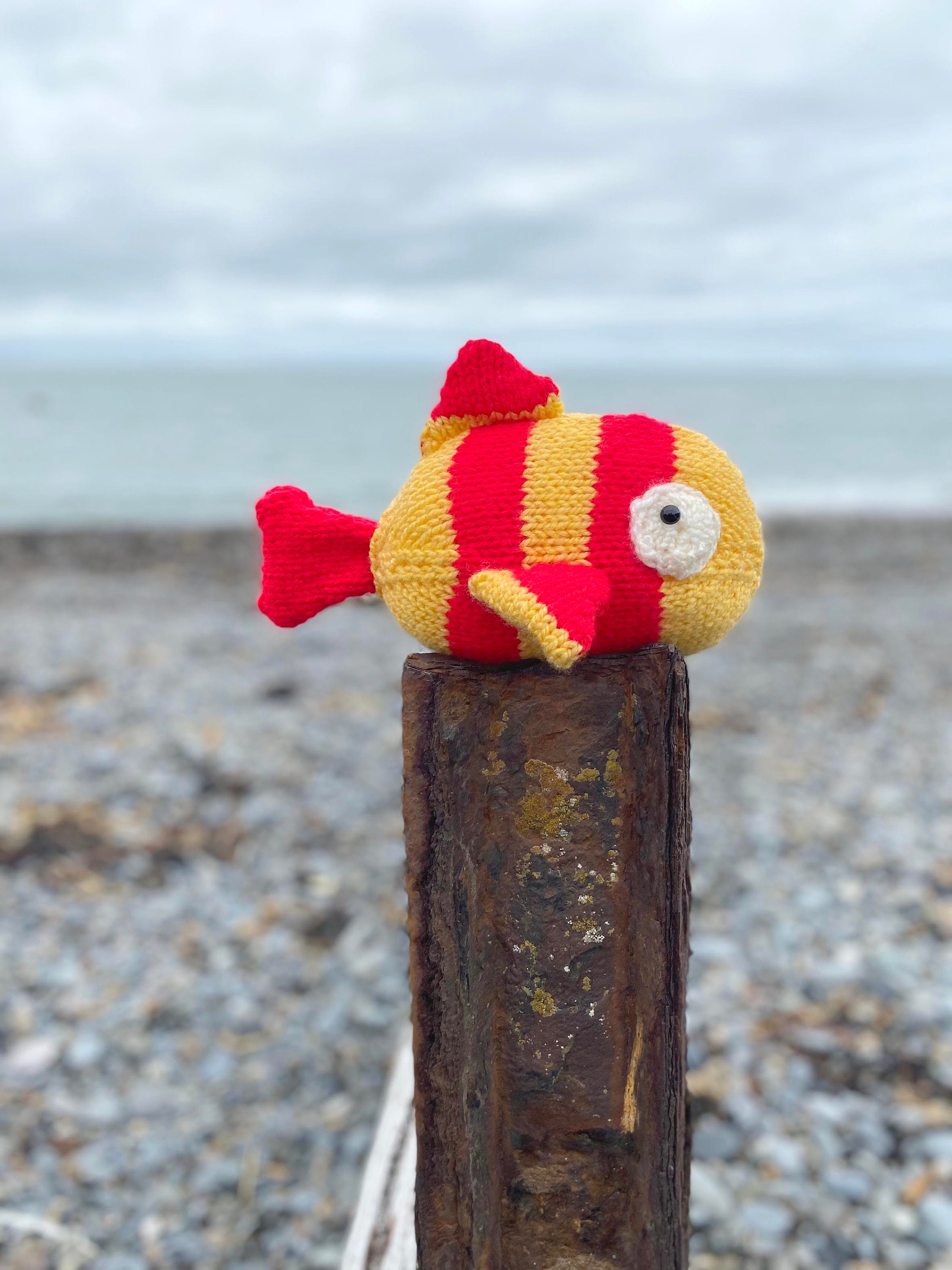 Suspicious Fish Toy Knitting Pattern - Etsy