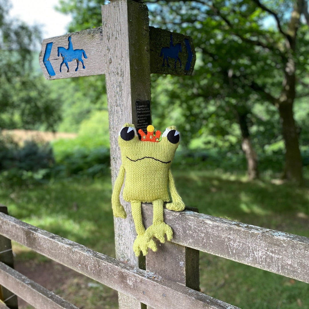 Frog Prince Toy Knitting Pattern - Etsy