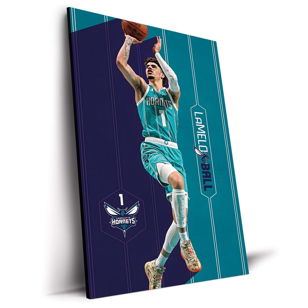 Lamelo Ball Charlotte Hornets NBA Poster Basketball Sports Canvas Print ...