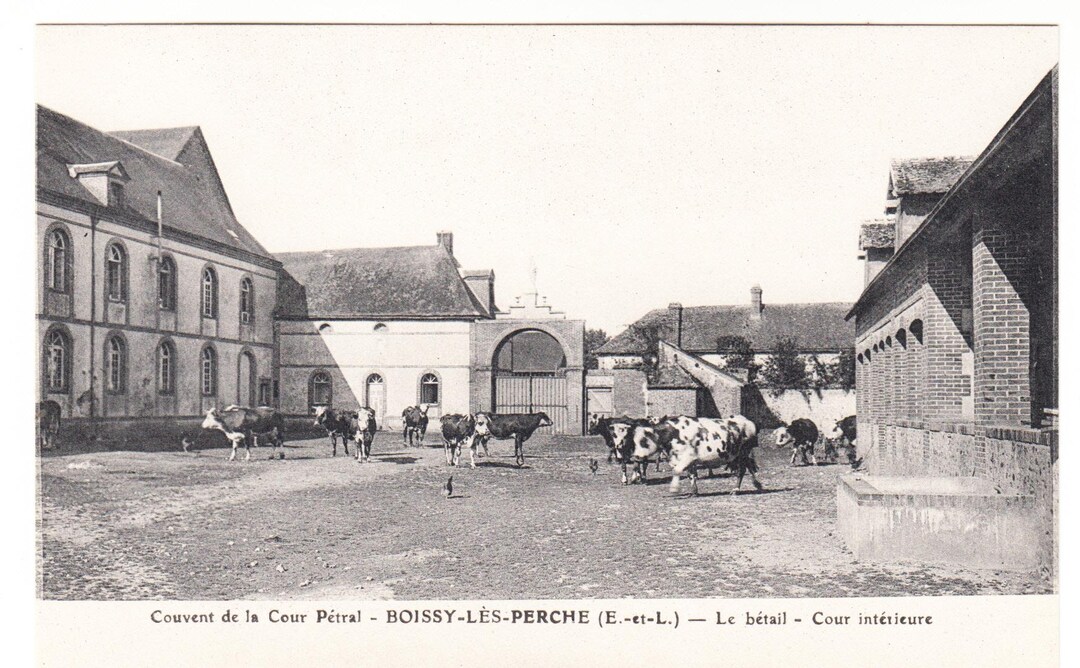 France Rural Farm Courtyard With Cattle Postcard - Boissy-lès-perche C ...