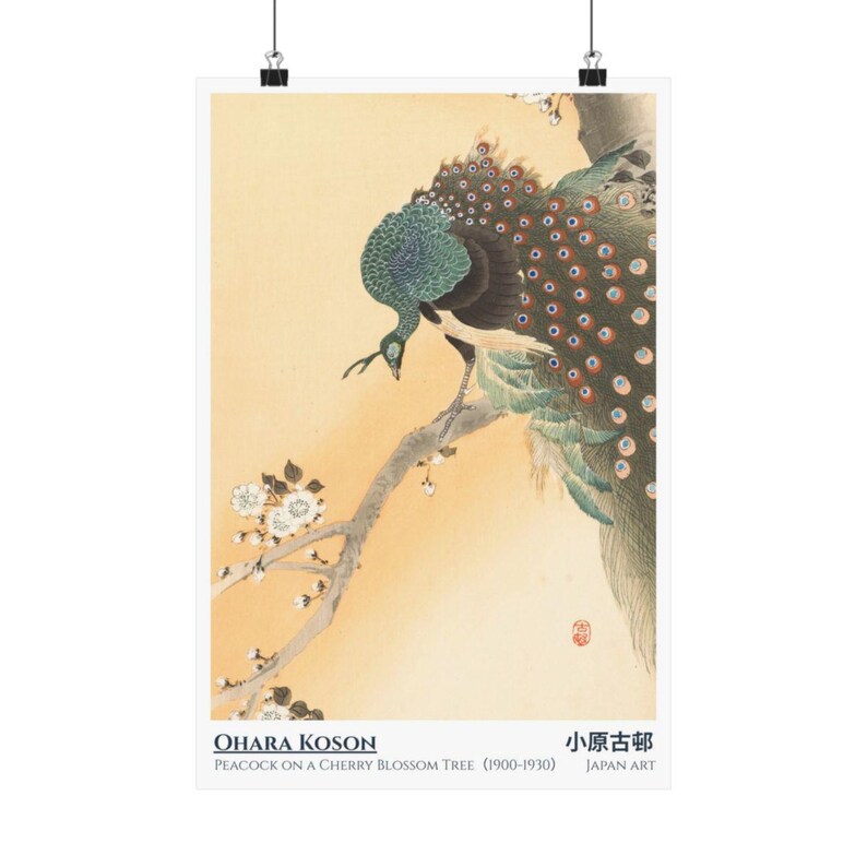 Ohara Koson Peacock on Cherry Blossom Tree Japanese Bird Art Shin Hanga ...