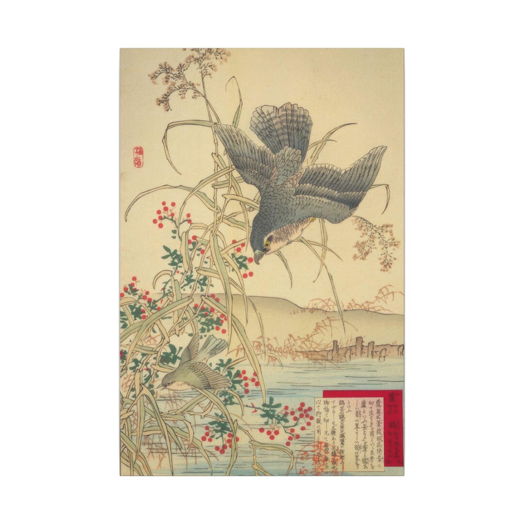 Ukiyo-e Bird Art Print Reeds and Hawk Wildlife Scene Traditional ...