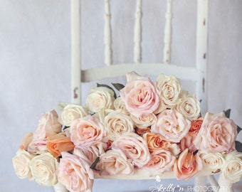 Rose Photography Flower Photography Large Rose Print Peach | Etsy