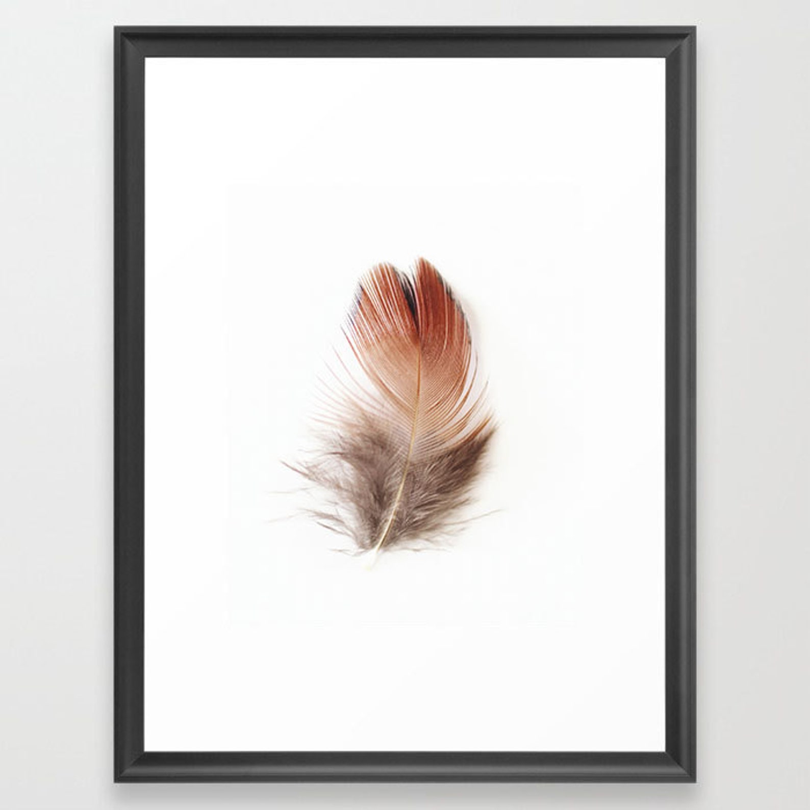 Feather Photography- Pheasant Feather Print, Red Feather Photo ...