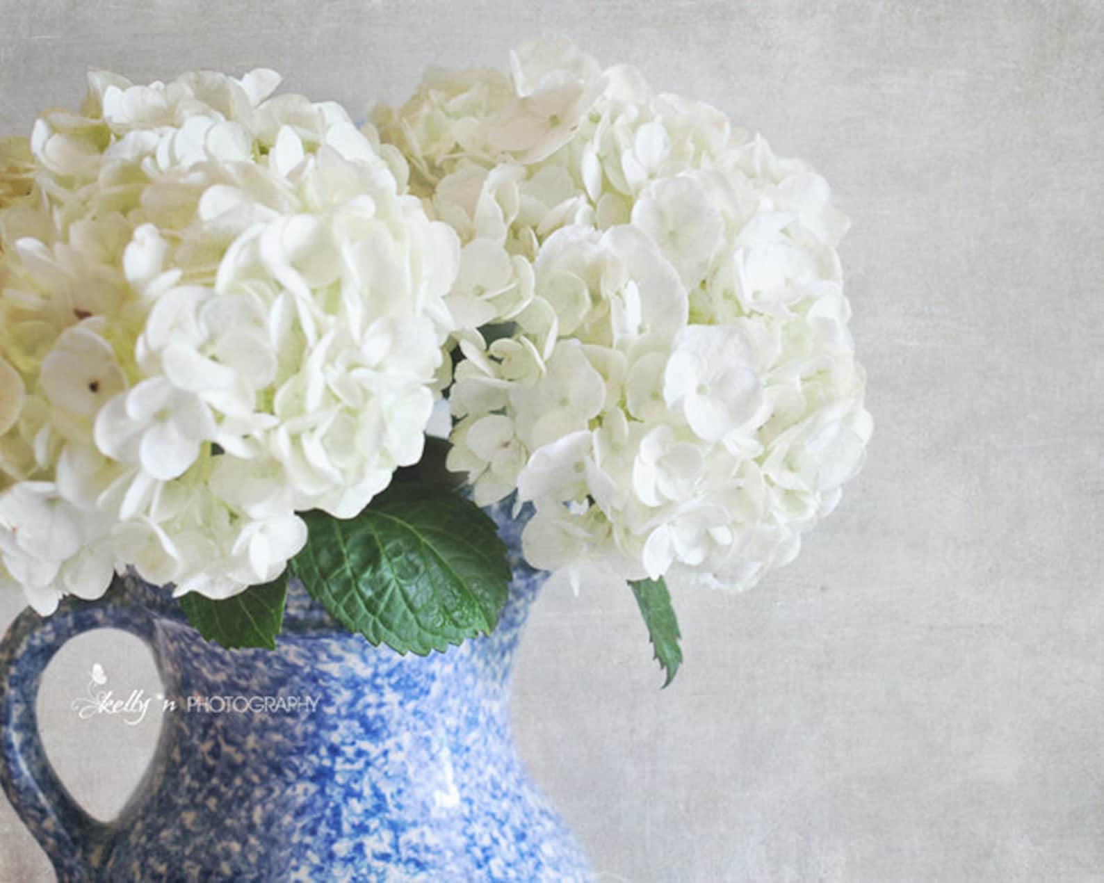 Floral Still Life Photo- Hydrangea Photograph, Floral Wall Art, White ...