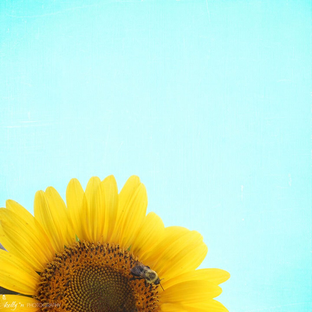 Sunflower Photography- Yellow Flower Print, Yellow Aqua Home Decor ...