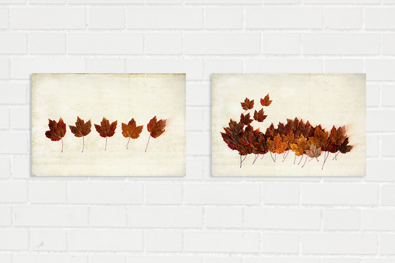 Maple Leaf Photography- Two Print Set, Autumn Maple Leaves Print Set ...
