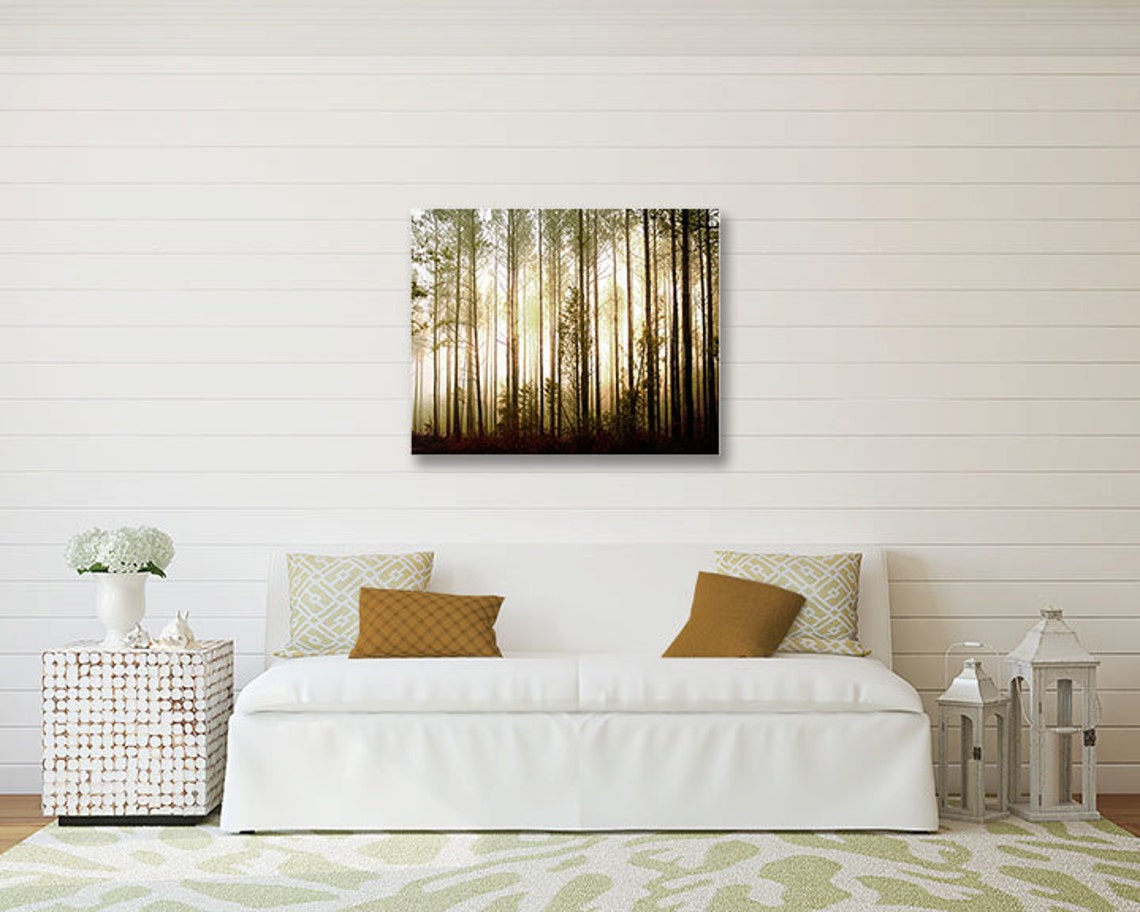 Forest Canvas Print- Tree Photography Canvas Wrap, Brown Cream Green ...
