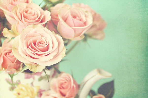 Light Pink Roses Tumblr Background