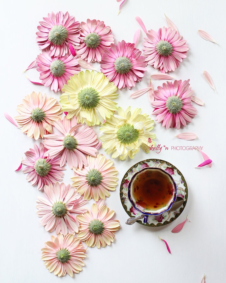 Still Life Photography- Tea and Flowers Photo, Gerbera Daisies, Teacup ...
