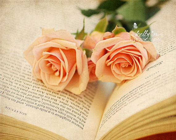 Roses Still Life Photography