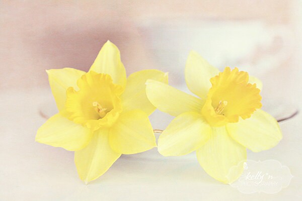 Make Any Photo 12x18- Custom Sizing- Your Choice- Photograph ...