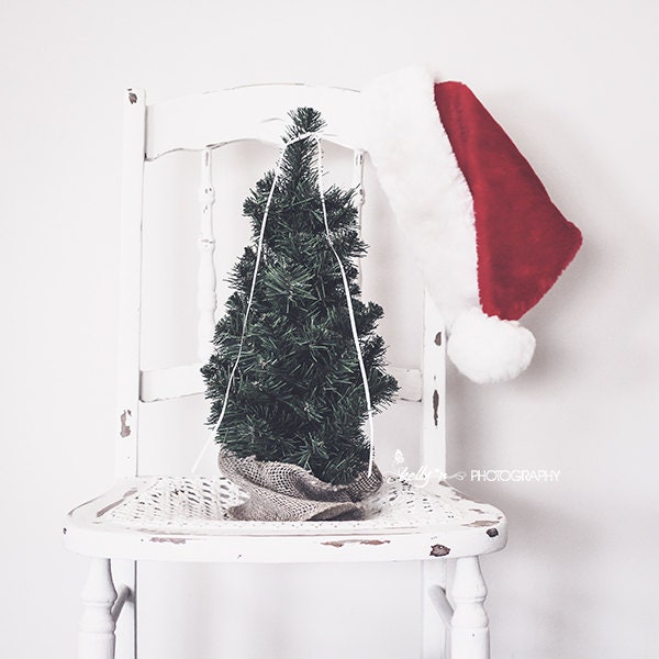 Christmas Photography Still Life Photo, Christmas Decor, Country ...