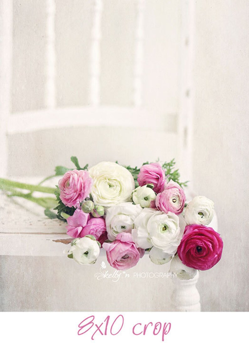 Ranunculus Photography- Floral Still Life Photo, Pink White Decor ...