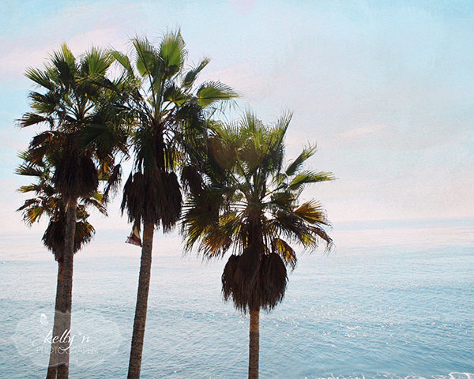 Ocean Photography Canvas Print Ocean Palm Tree Photo, Blue Ombre, Palm ...