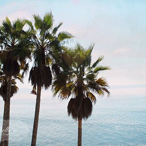 Ocean Photography Canvas Print- Ocean Palm Tree Photo, Blue Ombre, Palm ...