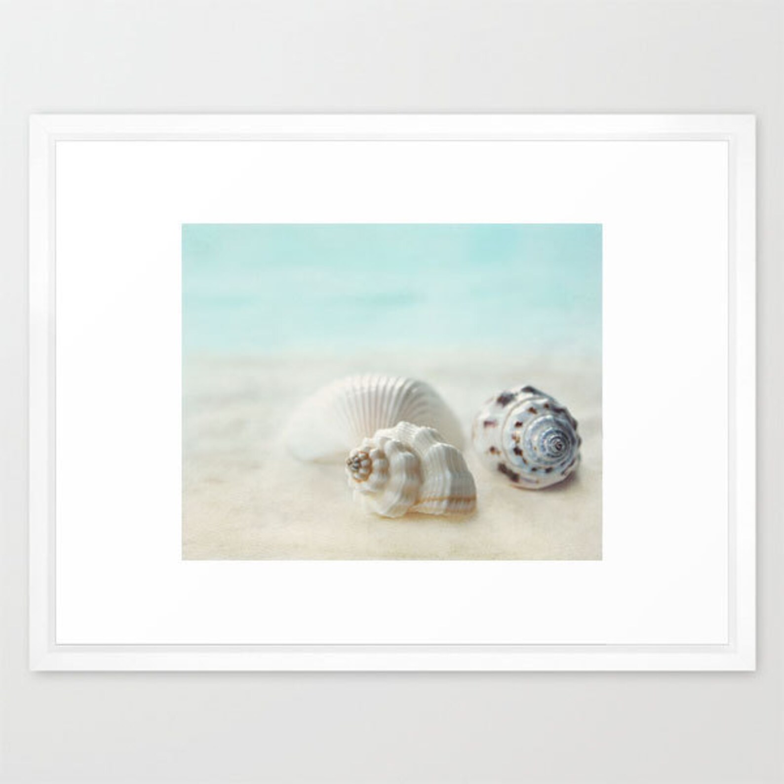 Seashell Photography, Shells Print, Beach Photography, Beach House ...